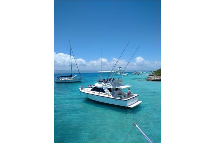 Phoenix - Pheonix 34 SXF Diesel, Botes Puerto Rico Clasificados Online