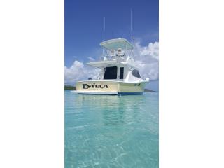 Tiara - TIARA 39 CONVERTIBLE 2007 CUMMINS 540 543 HRS, Botes Puerto ...