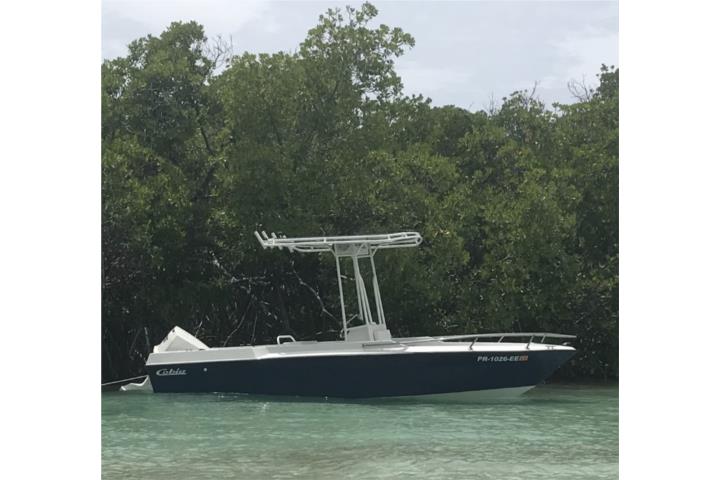Cobia - Cobia 19 ‘ $10,000 OMO, Botes Puerto Rico Clasificados Online