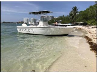 Robalo - Robalo 21ft Motor Evinrude 200hp 2007 , Botes Puerto Rico ...