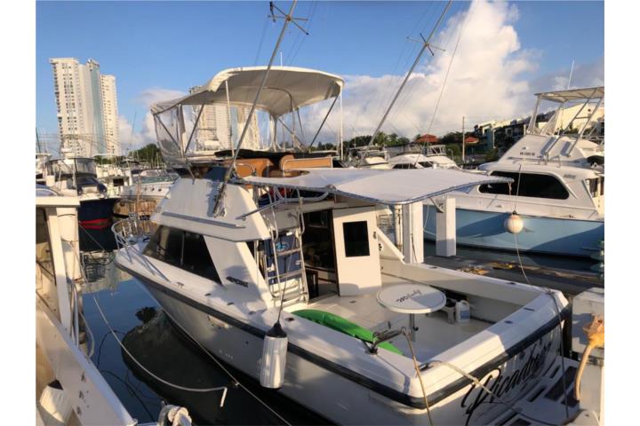 Phoenix - Phoenix 29, Botes Puerto Rico Clasificados Online