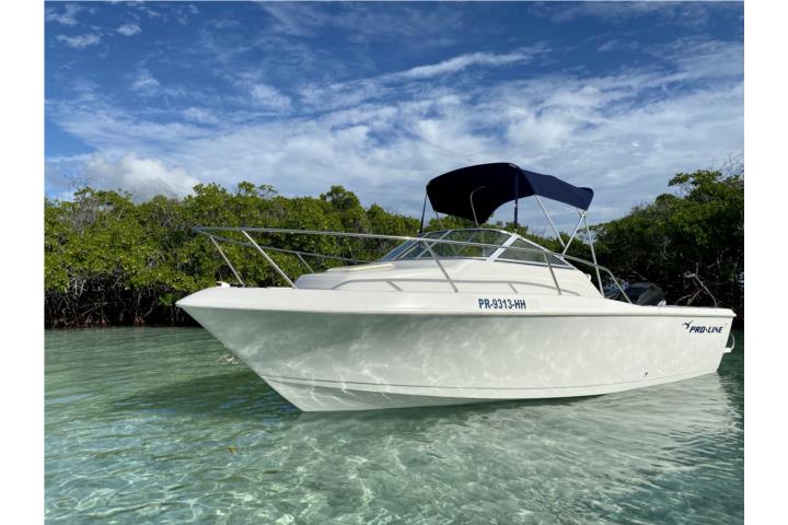 Proline - Proline 20 WA como nueva, Botes Puerto Rico Clasificados Online