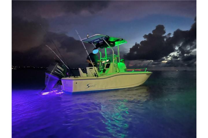 Scout - Scout 17.5 total mente equipado , Botes Puerto Rico ...