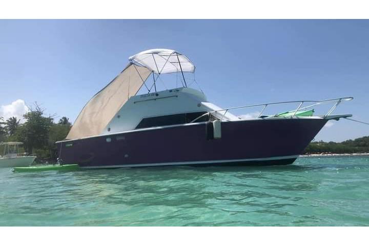 Trojan - Trojan 31 , Botes Puerto Rico Clasificados Online