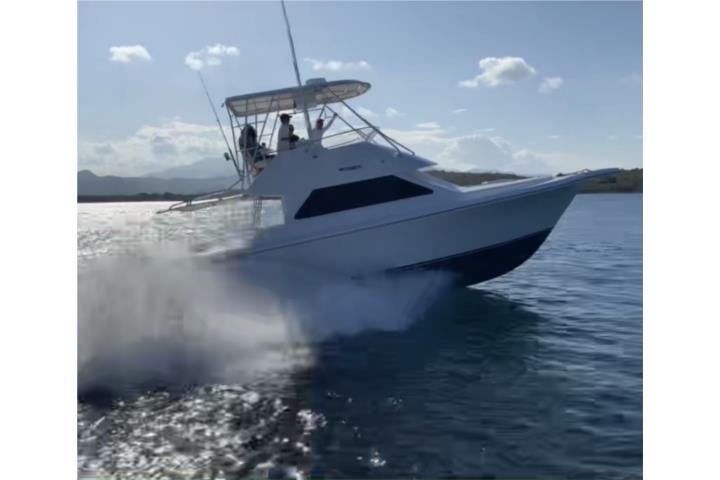 Phoenix - Phoenix 33 1993 Remodelada, Botes Puerto Rico Clasificados Online