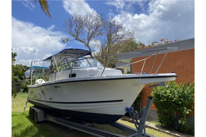 Robalo - Robalo 25 Pies 2 Motores Johnson 200 HP 1997, Botes Puerto ...