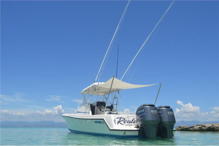 Contender - Contender 31’. Fish Around 2004, Botes Puerto Rico ...