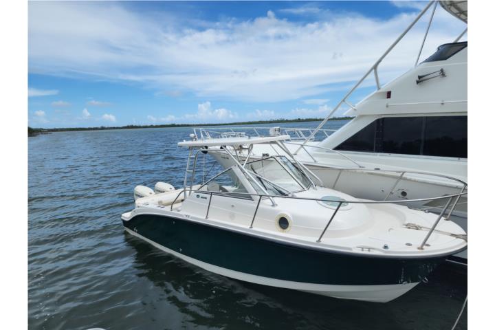 Trophy - Trophy 25 del 2008 , Botes Puerto Rico Clasificados Online