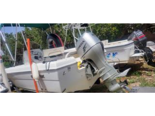 Sea Fox - SeaFox 18 2008, Botes Puerto Rico Clasificados Online