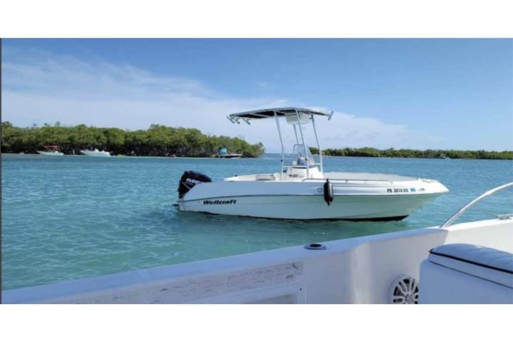 Wellcraft - Wellcraft 18 2002 130 hp cómo nueva , Botes Puerto Rico ...