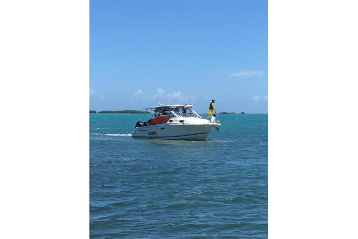 Wellcraft - Wellcraft Coastal 290 2002 verado 350 , Botes Puerto Rico ...