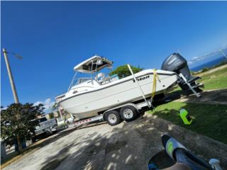 Triton Boats - Triton 27, Botes Puerto Rico Clasificados Online