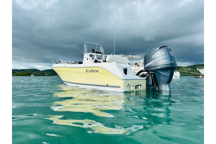 Cobia - 2005 Cobia 194, Botes Puerto Rico Clasificados Online
