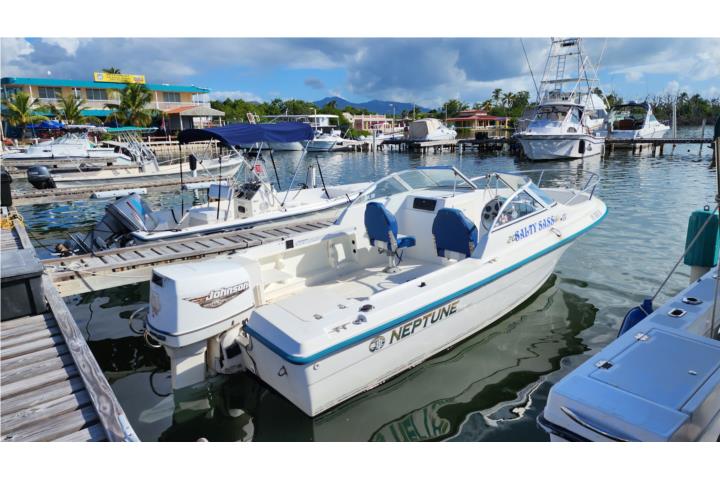 Sunbird - Neptune DC 20, Botes Puerto Rico Clasificados Online
