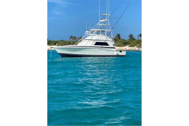 Bertram - BEAUTIFUL BERTRAM 50 , Botes Puerto Rico Clasificados Online