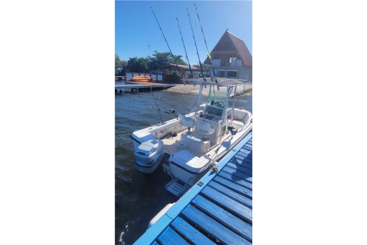 Robalo - Robalo 20 cc, Botes Puerto Rico Clasificados Online