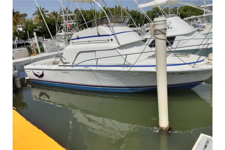 Phoenix - Phoenix 29 Turbo Diesel, Motores TAMD 40b, Botes Puerto Rico ...