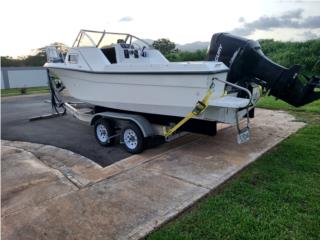 Other-Otro - Celebrity Fish Hawk, Botes Puerto Rico Clasificados Online