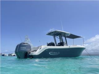 Robalo - 2021 Robalo Center Console 242, Botes Puerto Rico Clasificados ...