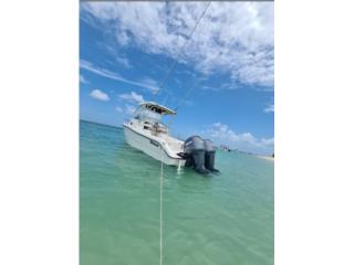 Triton Boats - Triton 27 twin 225 hp, Botes Puerto Rico Clasificados Online