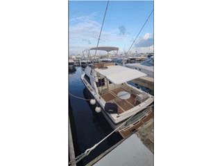 Phoenix - Phoenix 29, Botes Puerto Rico Clasificados Online