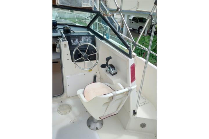 Proline - Proline Walk Around 21 Mercury 150, Botes Puerto Rico ...