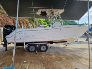 Robalo - Robalo R240 2008, Botes Puerto Rico Clasificados Online