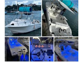 Sea Fox - Sea fox 25 pies /2005 , Botes Puerto Rico Clasificados Online