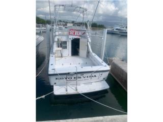 Phoenix - Phoenix 29’ 1995, Botes Puerto Rico Clasificados Online
