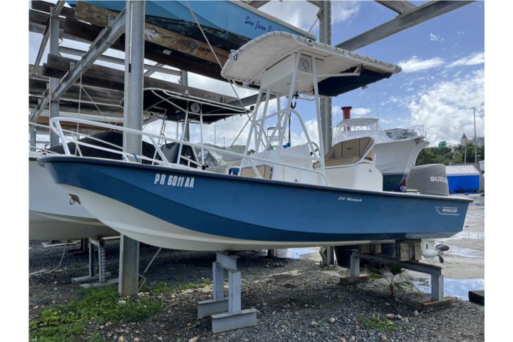 Boston Whaler - Boston Whaler 17 1981 Tremendas Condiciones, Botes ...