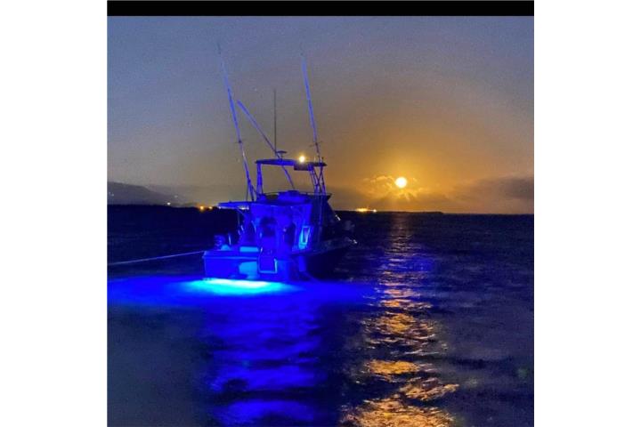 Phoenix - Phoenix 29 dos volvo penta 200hp 1992, Botes Puerto Rico ...