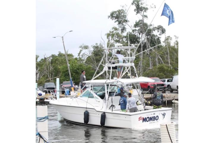 Tiara - Tiara 33 Open, Botes Puerto Rico Clasificados Online