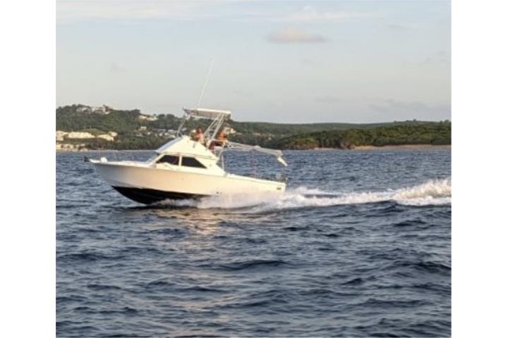Bertram - Bertram 28 Remodelada!, Botes Puerto Rico Clasificados Online