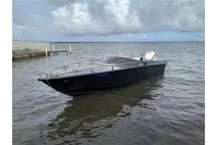 Pantera - Pantera 24’ 1973, Botes Puerto Rico Clasificados Online