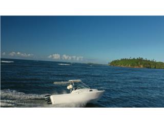 Proline - Proline 22 Walk 2003, Botes Puerto Rico Clasificados Online