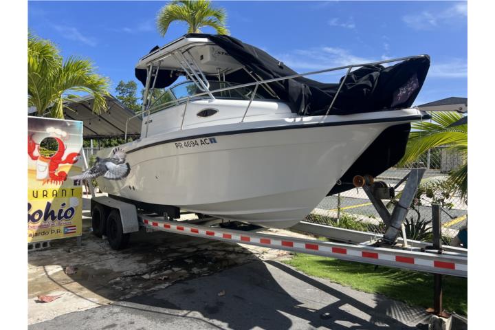 Striper - Striper cabina 21, Botes Puerto Rico Clasificados Online