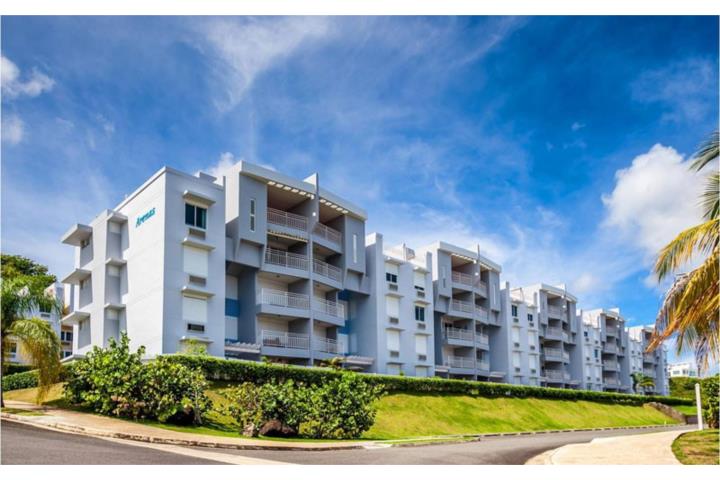 CARIBBEAN/US PENTHOUSE OCEANVIEW, Barrio-Las Coles Alquiler Bienes ...