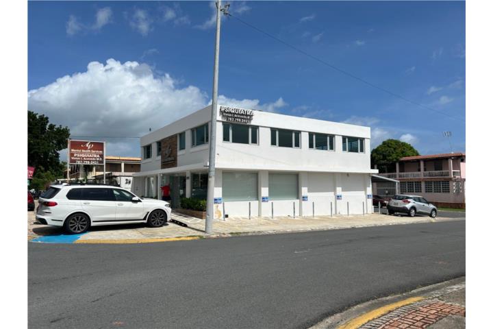 Alquiler Bienes Raices Comercial,Urbanizacion-Levittown, LOCAL: Ave ...