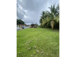 Terreno-Calle Principal Van Scoy Bayamón, Urbanizacion-Van Scoy ...