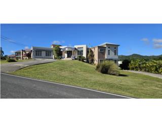 San Sebastian Barrio Robles Sector Tamarindo , Barrio-Robles Alquiler ...