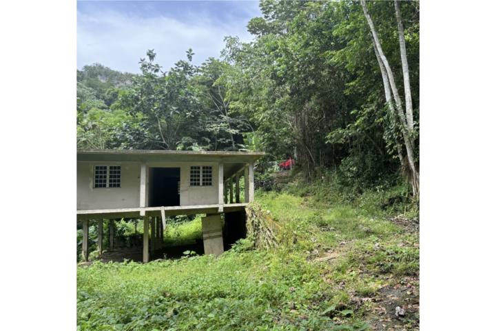 FINCA 10 CUERDAS, Barrio-Fronton Alquiler Bienes Raíces, Solar/Finca en ...