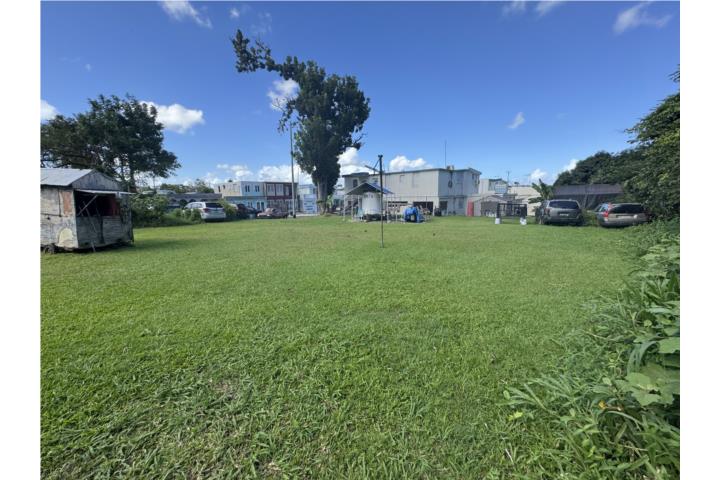 SOLAR LLANO - URBANIZACION EL CORTIJO, Urbanizacion-El Cortijo Alquiler ...