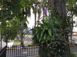 STA RITA STUDIO UPR AUXILIO MUTUO RIO PIEDRAS, Urbanizacion-Santa Rita Alquiler Bienes Raíces ...