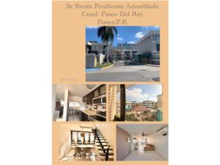 Aprovecha Tremenda Oferta!!!, Condominio-Paseo Del Rey Alquiler Bienes ...