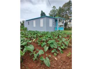 Barrio Paloma, Comerio , Barrio-Paloma Alquiler Bienes Raíces, Casa en ...