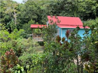 Finca rústica con vista al mar $950 - Ponce, Barrio-Montes Llanos ...