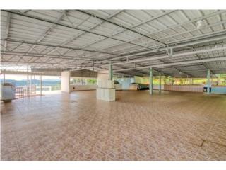 Alquiler Bienes Raices Comercial,Barrio-Montellanos, Espacio Comercial ...