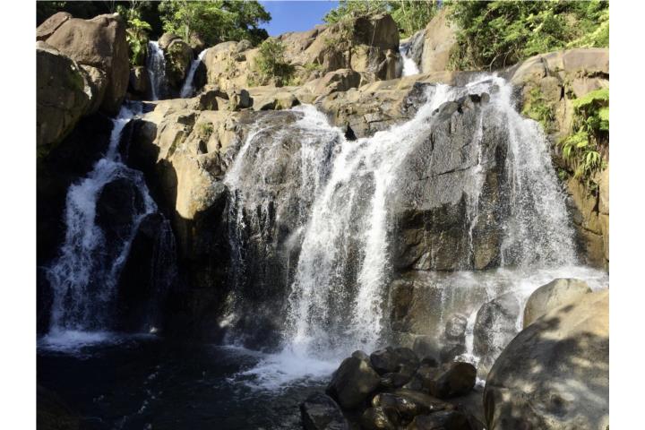 Rio Blanco Puerto Rico, Venta Bienes Raíces Naguabo Puerto Rico, Real ...