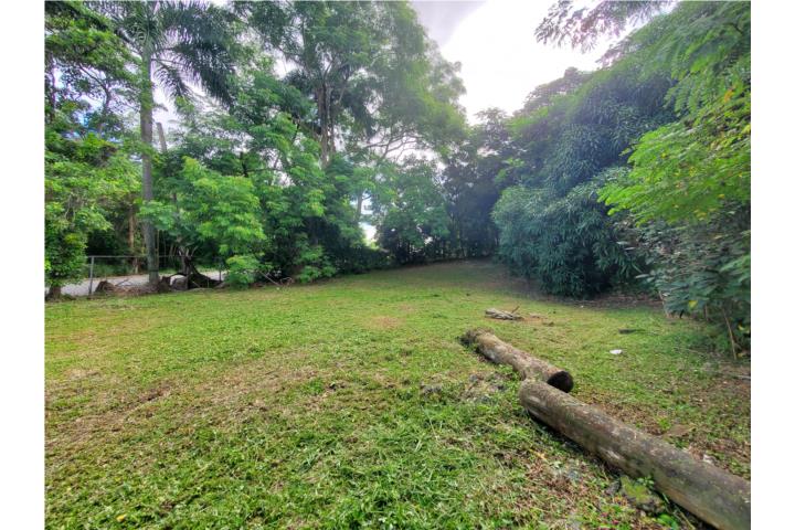 Cupey Puerto Rico, Venta Bienes Raíces San Juan - Río Piedras Puerto ...