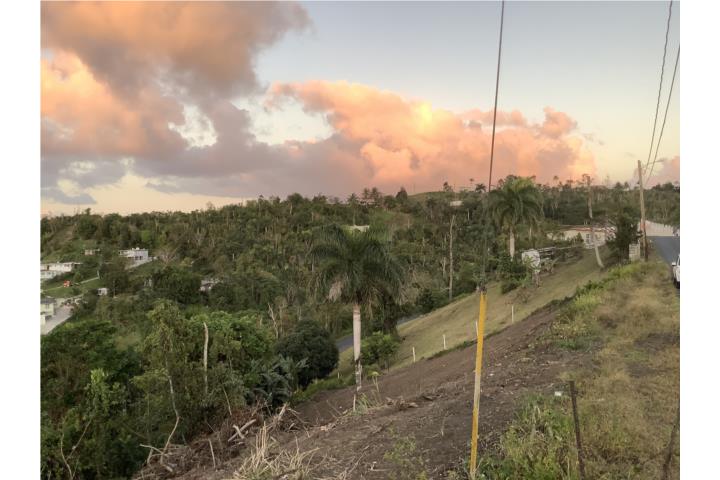 Valles De Cidra Puerto Rico, Venta Bienes Raíces Cidra Puerto Rico ...